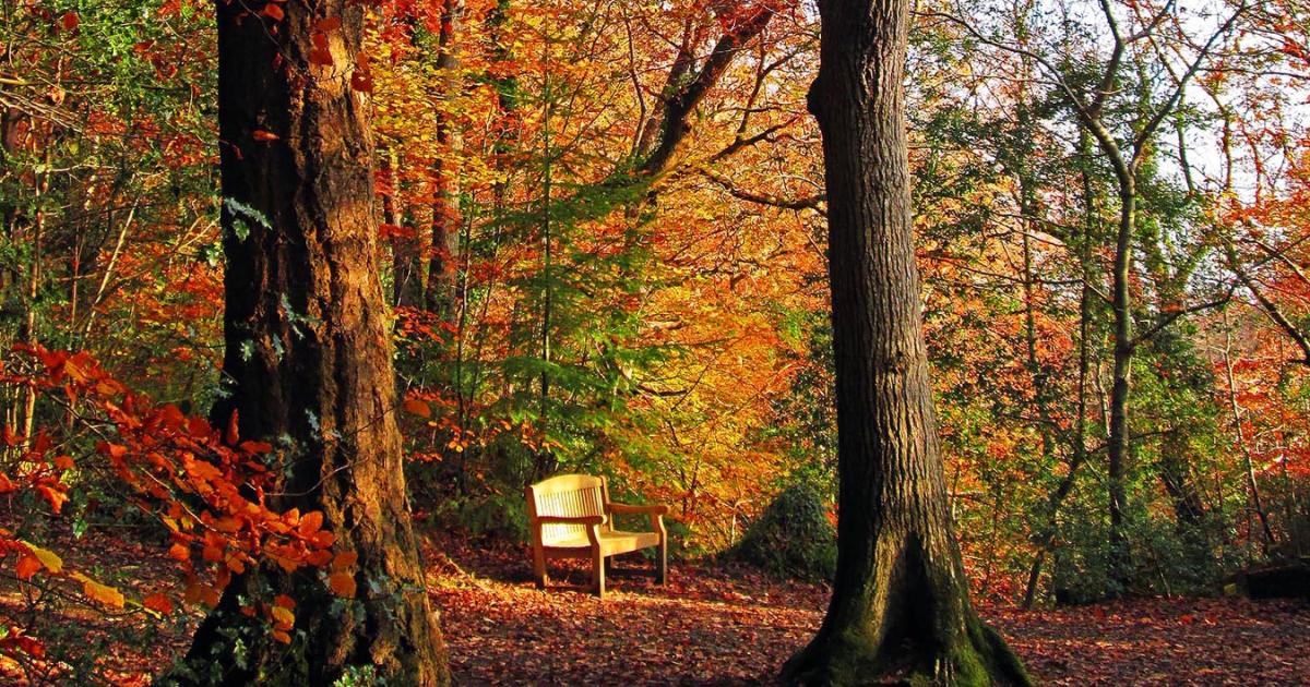 Rachel takes Limavady by storm with best-selling charity calendar ...